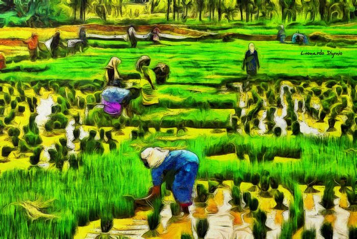 内卷化 | 芒格学院